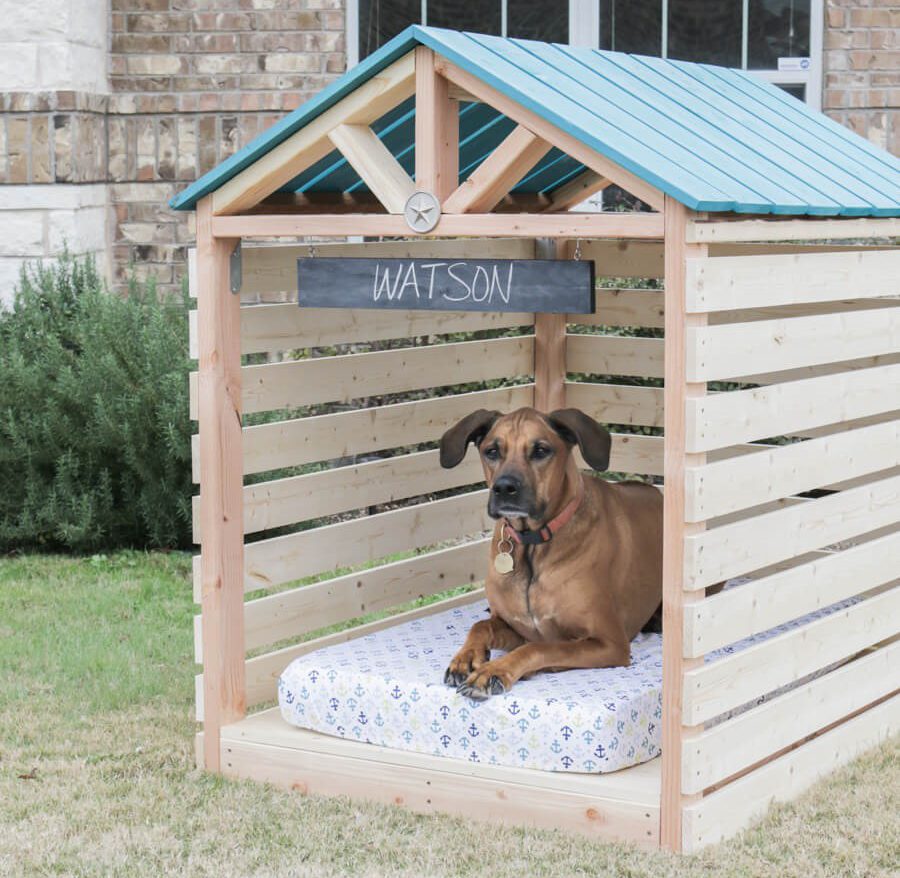 مزیت‌های استفاده از خانه سگ | هیوا پت