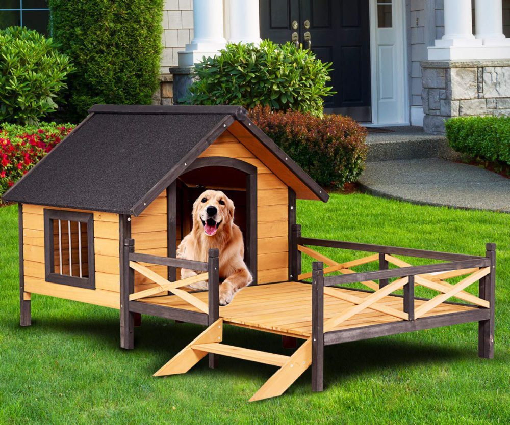 خانه سگ خوب چه ویژگی هایی دارد؟ | هیوا پت