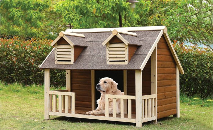 خانه سگ چیست؟ | هیوا پت