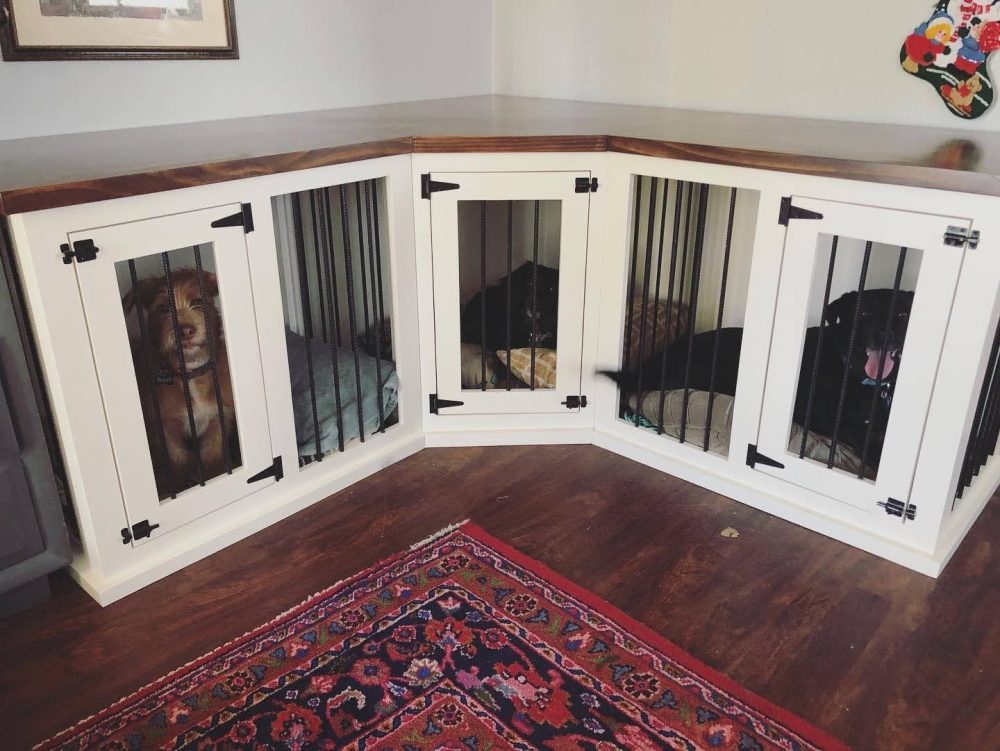 معرفی خانه سگ مناسب برای داخل آپارتمان | هیوا پت