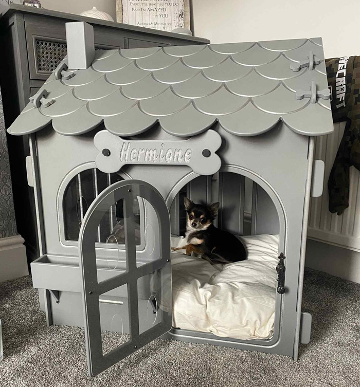 انتخاب بهترین لوازم و تجهیزات برای خانه سگ | هیوا پت